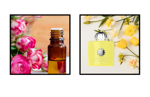 How do oil-based perfumes compare to alcohol-based perfumes ...