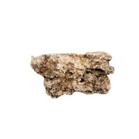 Ambergris – Fragrancelord.com