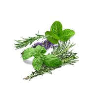 Aromatic Notes – Fragrancelord.com