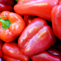 Pimento – Fragrancelord.com