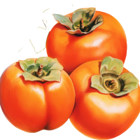 Persimmon – Fragrancelord.com