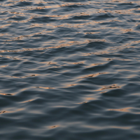 Watery Notes – Fragrancelord.com