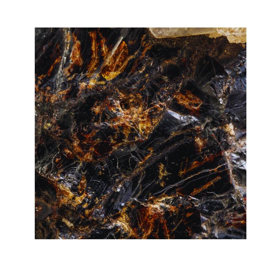 Ambrarome – Fragrancelord.com